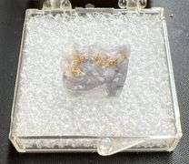 Native Gold Specimen - Beckort Auctions, LLC