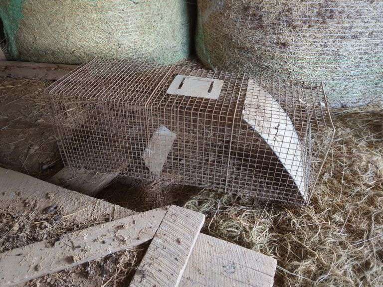 Live Animal Trap - Ford Brothers, Inc.