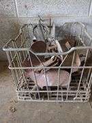 Assorted Metal Traps and Tools in Wire Basket - Ford Brothers, Inc.