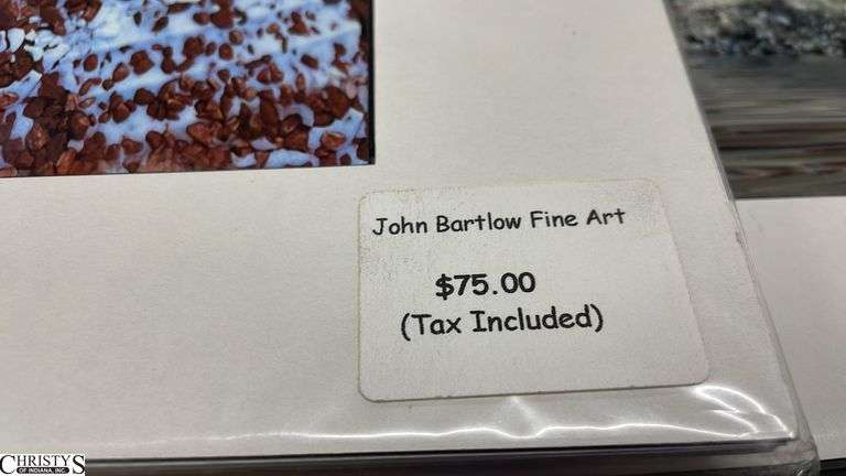 12pcs Matted Photo Prints Measures 22"x8" - Christys