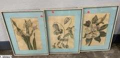3 Framed Maude Davis Flower Art 17x23 - Christys