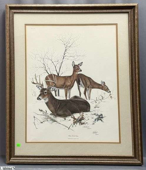 Framed Wildlife Artwork "White Tailed Deer" Signed Richard Timm 31x35 ...