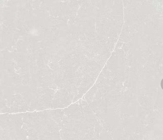 Silestone Quartz Desert Silver 2CM - Iron Horse Auction Company